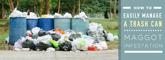 How to Manage a Trash Can Maggot Infestation – Trashcans Unlimited – Medium