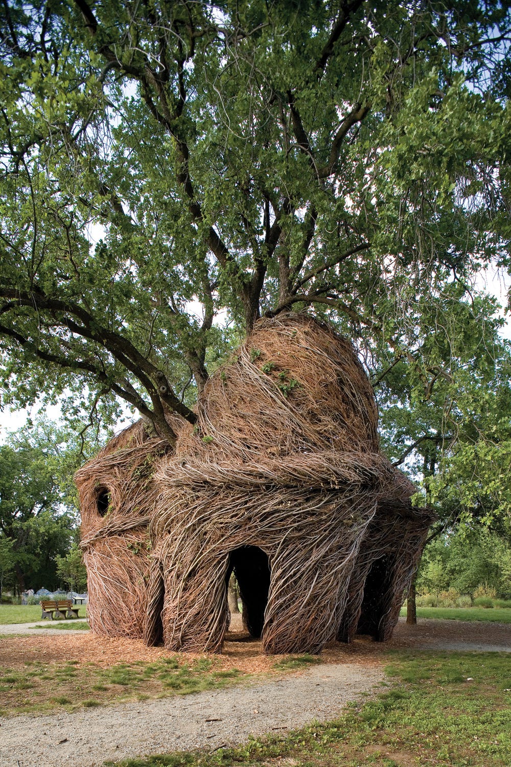 Lookout Tree – Princeton Arch Press – Medium