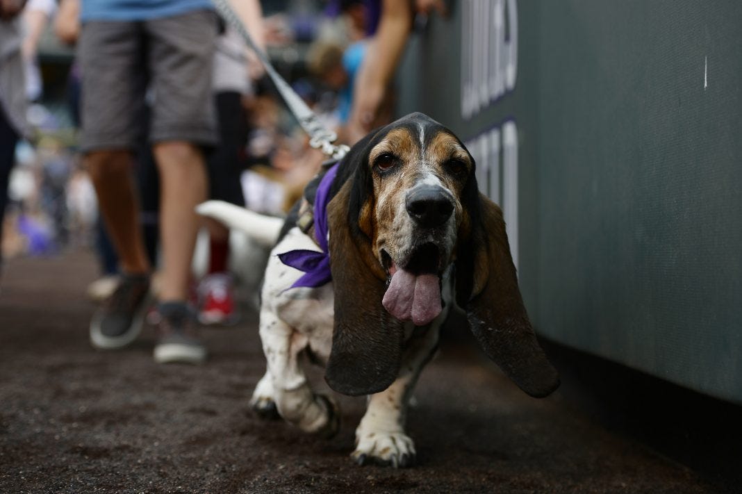 Trending stories published on Pet friendly: 7 lugares donde disfrutar con tu mascota – Medium