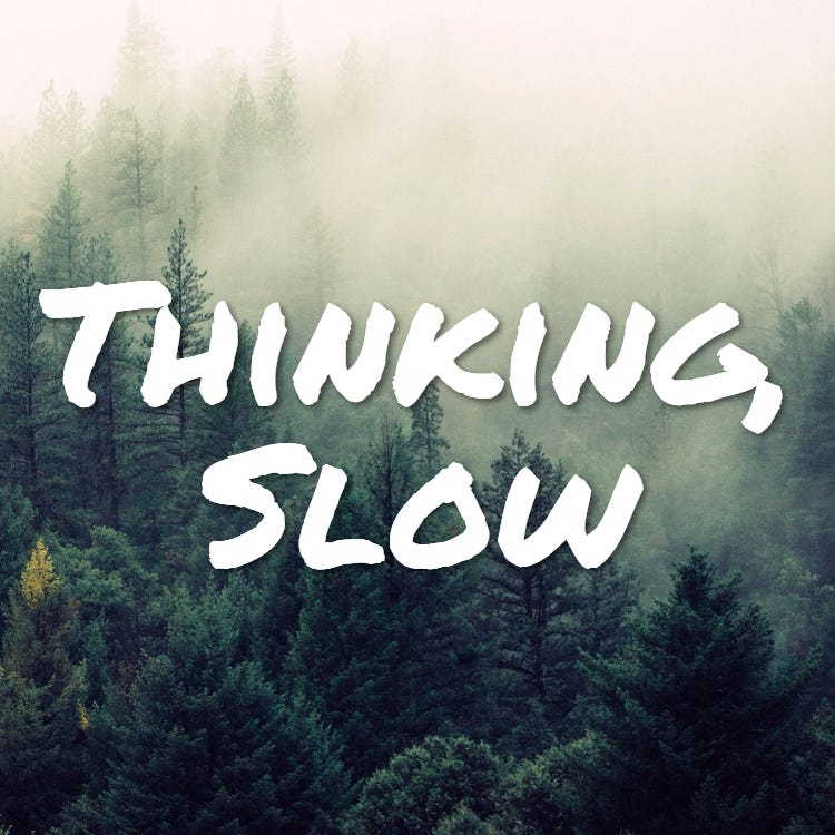 Thinking, Slow - Medium