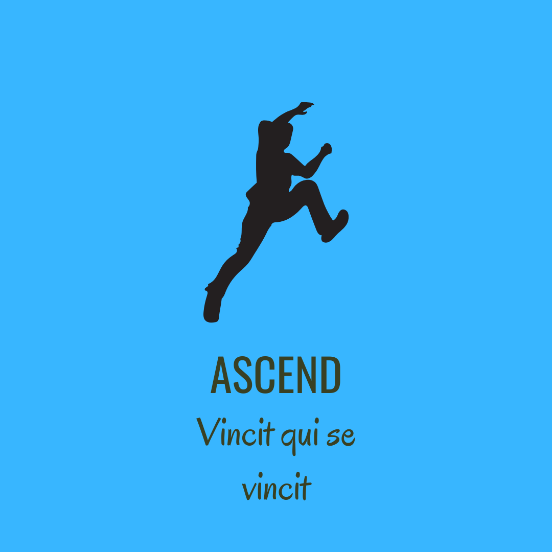 Level Up and Ascend - Medium