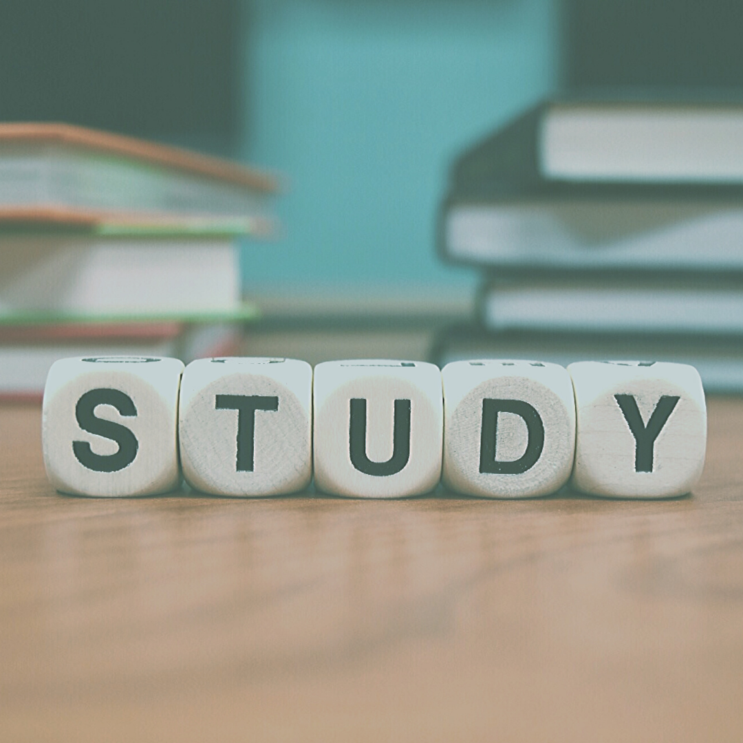How to find the study program that is right for you? - Medium