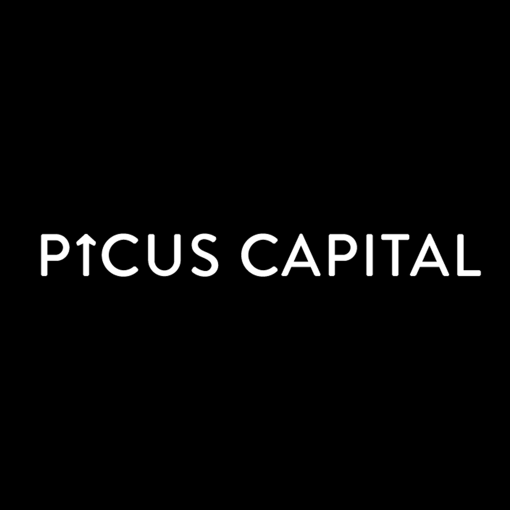Founder Support – Picus Capital – Medium