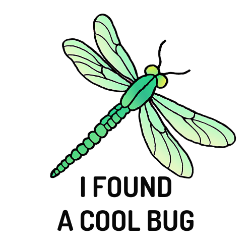 I Found a Cool Bug - Medium