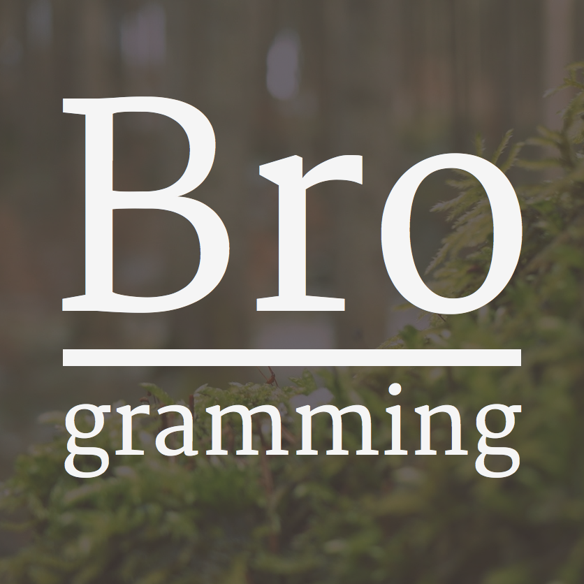 The Brogrammers Diary - Medium