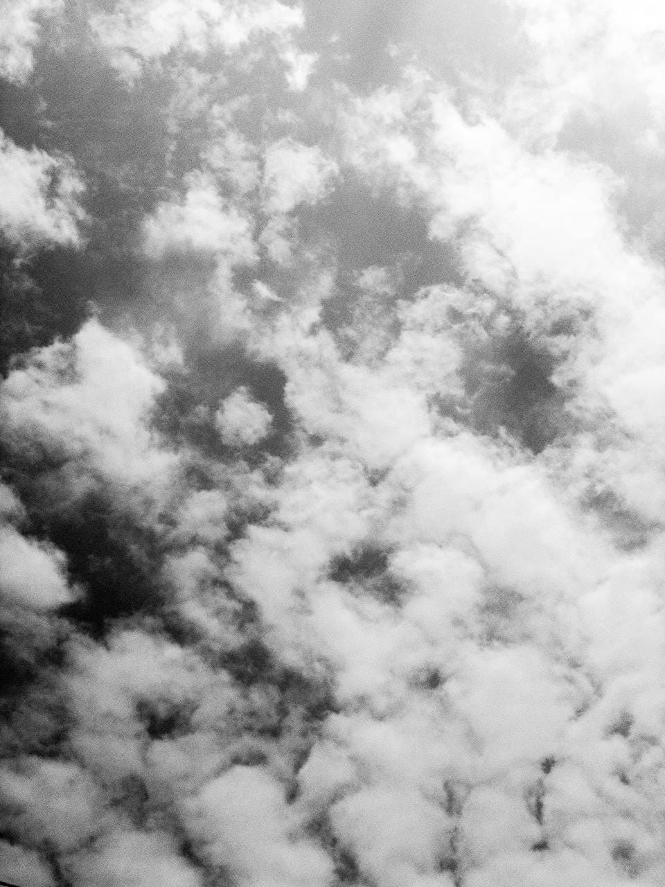 Campo Visual - Medium