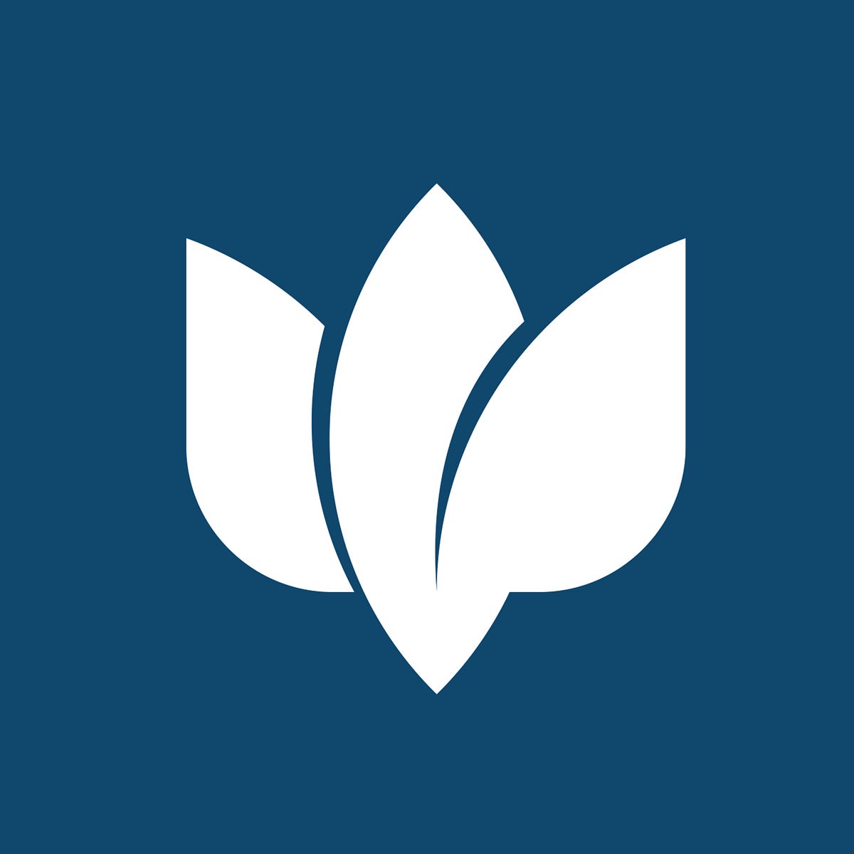 WayCoolFoods Medium