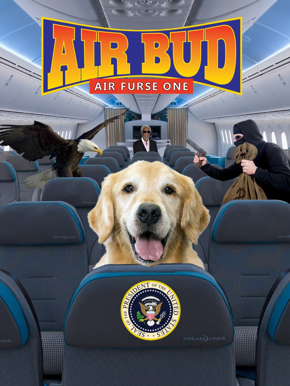 Air Bud – Eli Church – Medium
