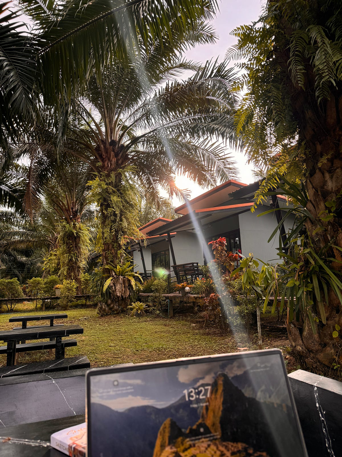 Semi-Professional Scribbles - Medium