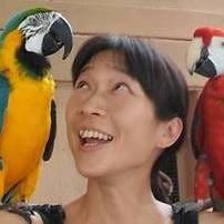 Generic Asian Girl - Medium