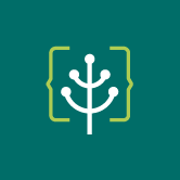 Green Software Foundation - Medium
