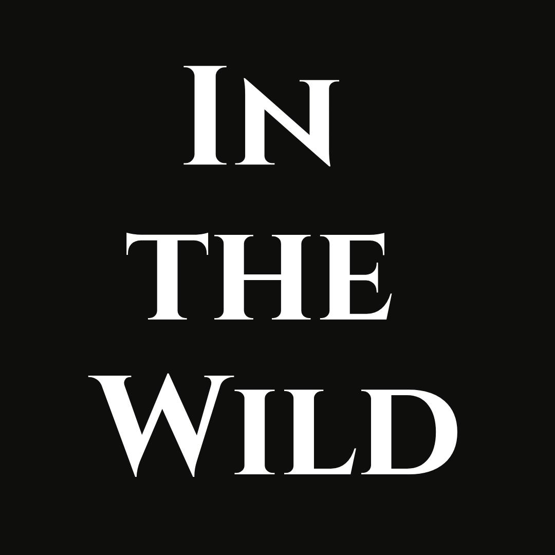 In the Wild - Medium