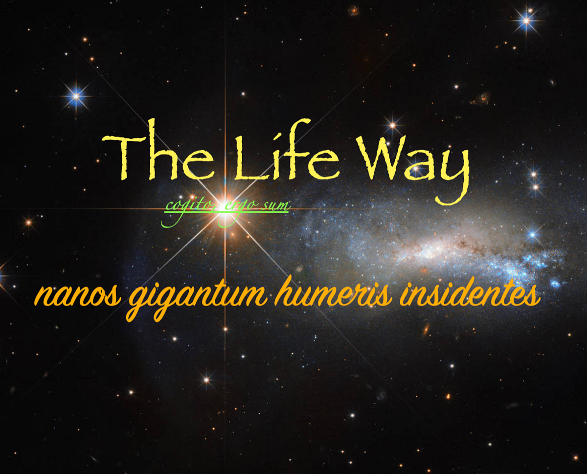 The Life Way - Medium