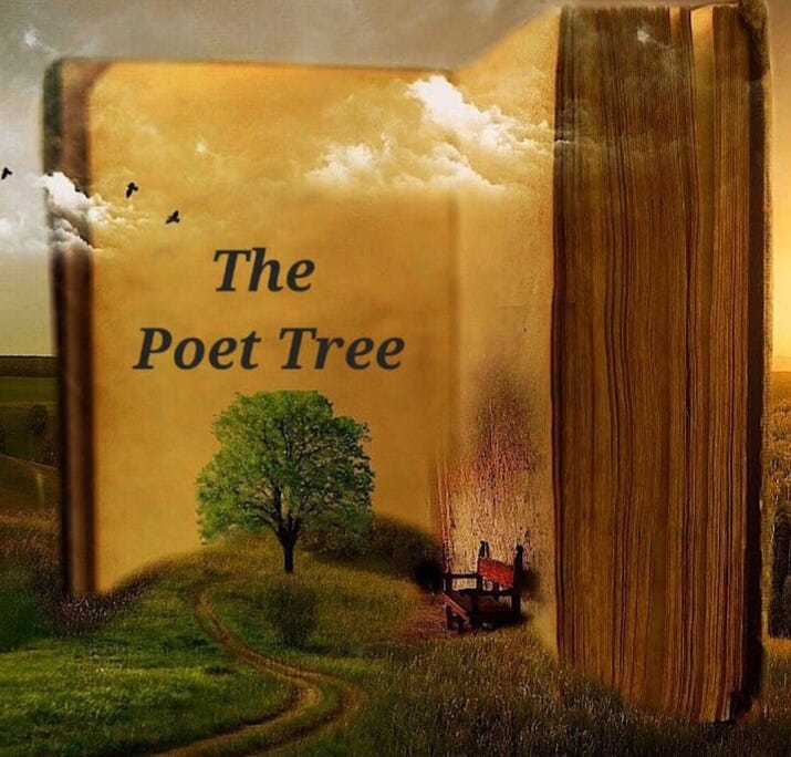 The Poet Tree - Medium