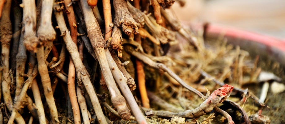 Hebrew Roots - Medium