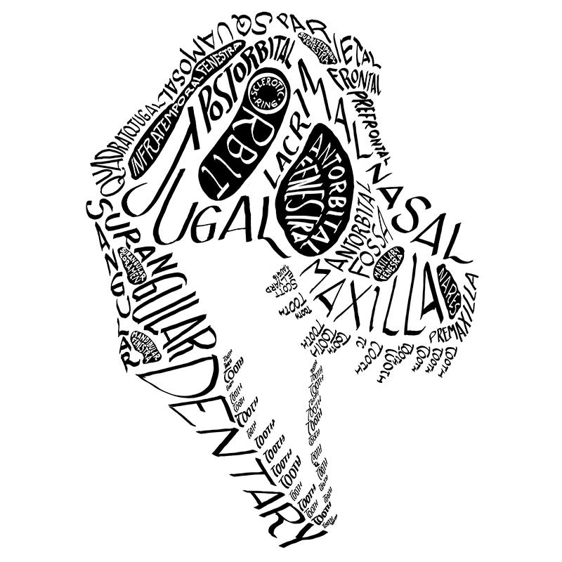 Calligrams: Anatomy in Hand-Lettering – tikispace – Medium