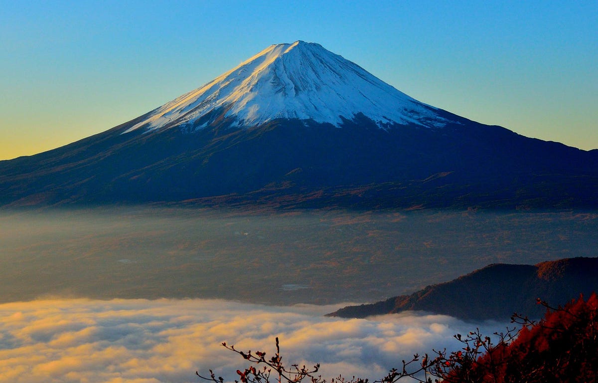 FujiHeritage – Medium
