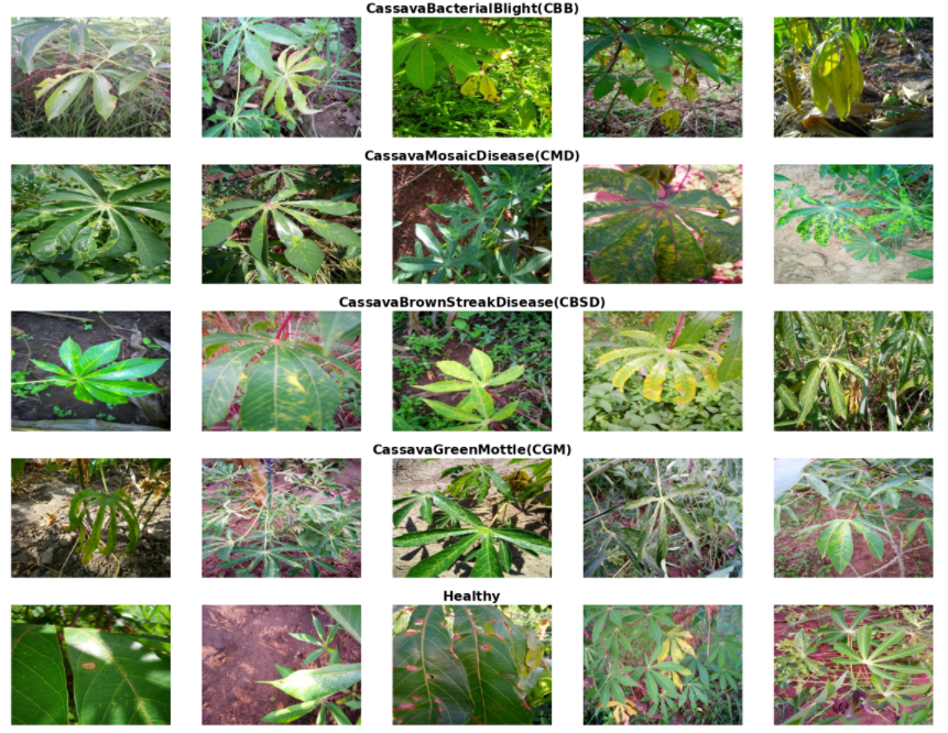 Trending stories published on Using Deep Learning to Classify Cassava Leaf Diseases – Medium