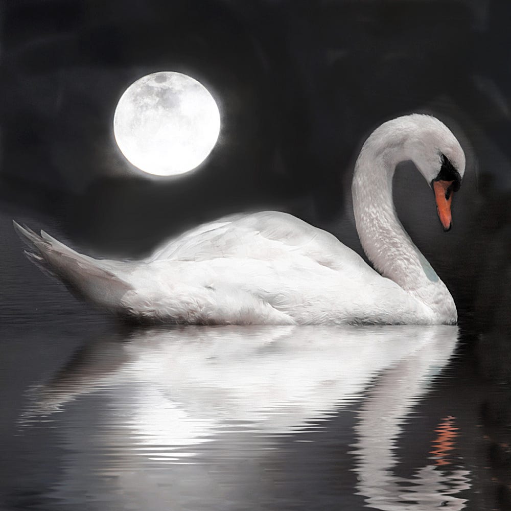 On Reflection - Medium