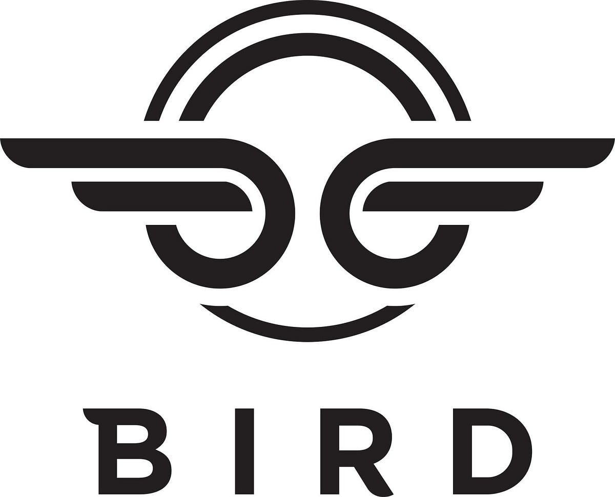 Bird Rides - Medium
