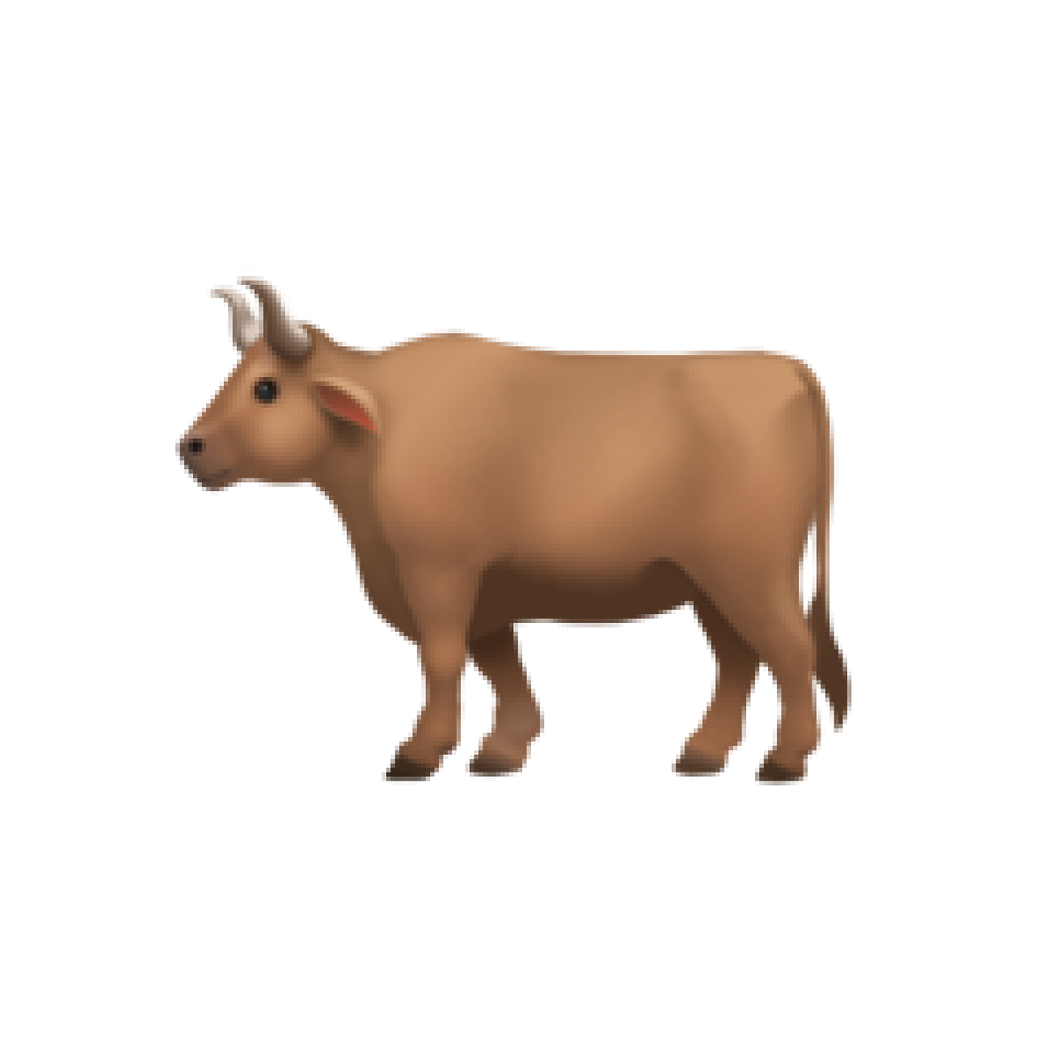 Oxen Herd Medium