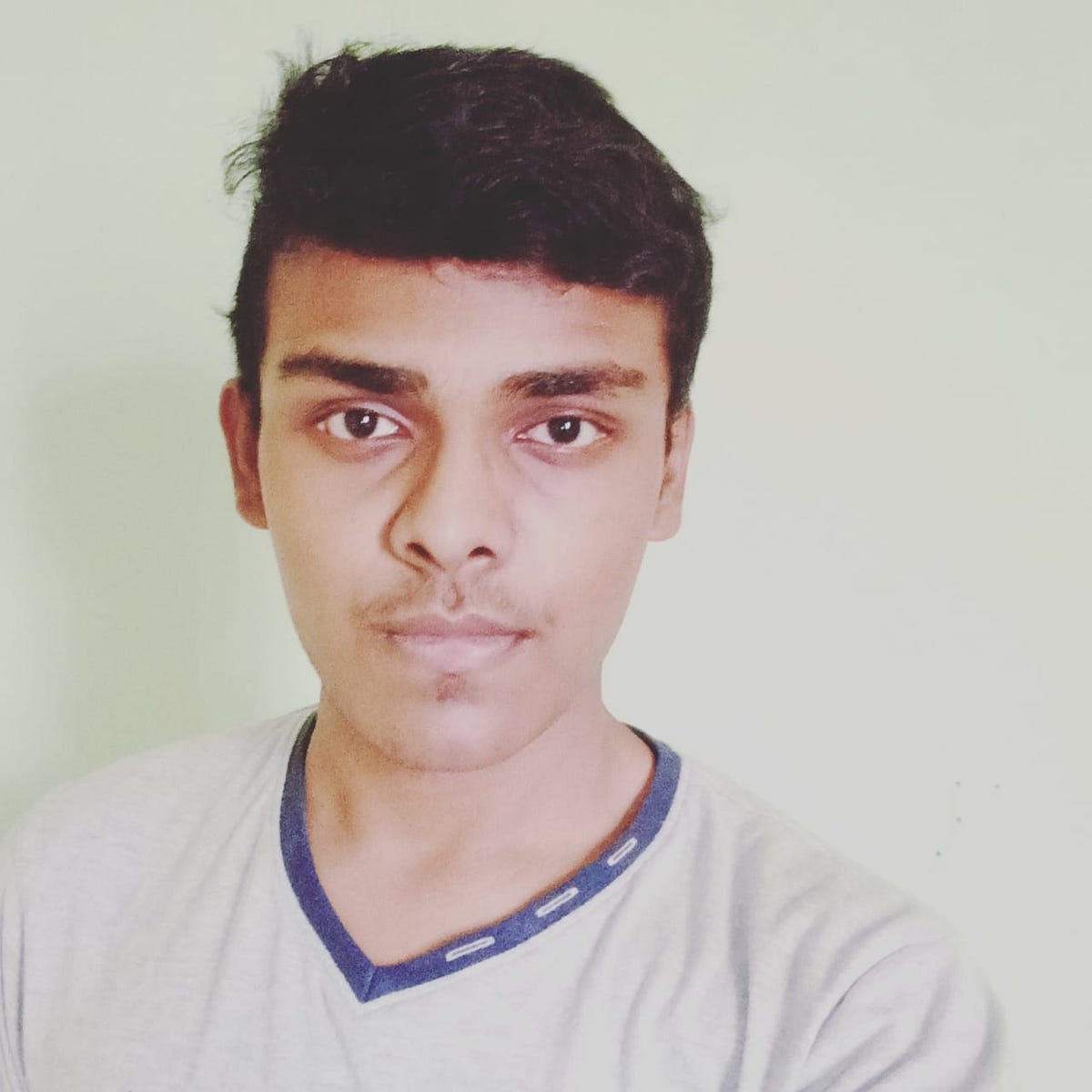 Trending stories published on Dog Breed Detection Using Deep Learning Python Transfer Learning ...