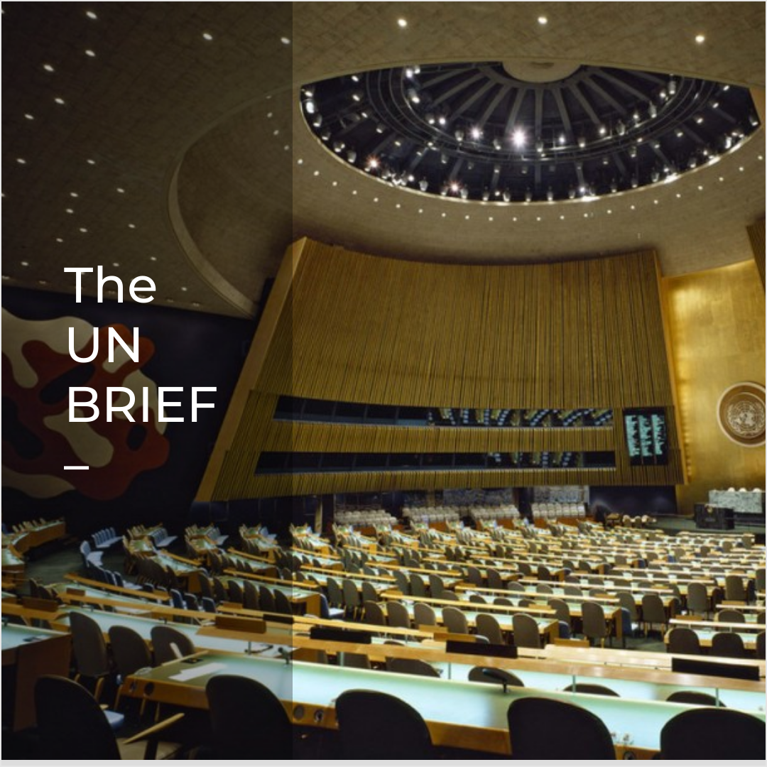 The UN Brief – Medium