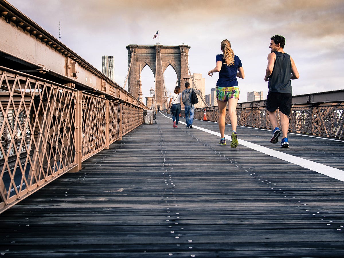 THE FIT CITY - Medium