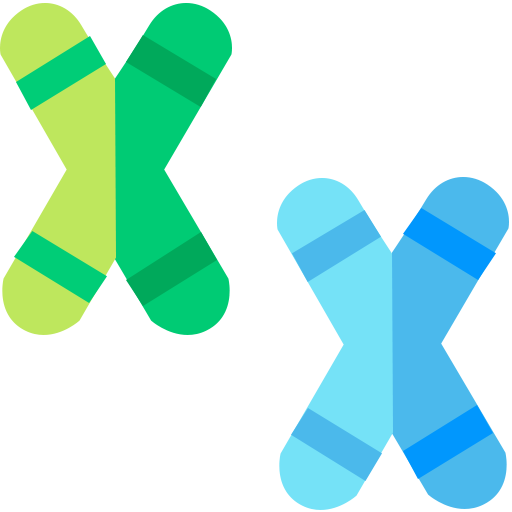 Fast Data Science Medium