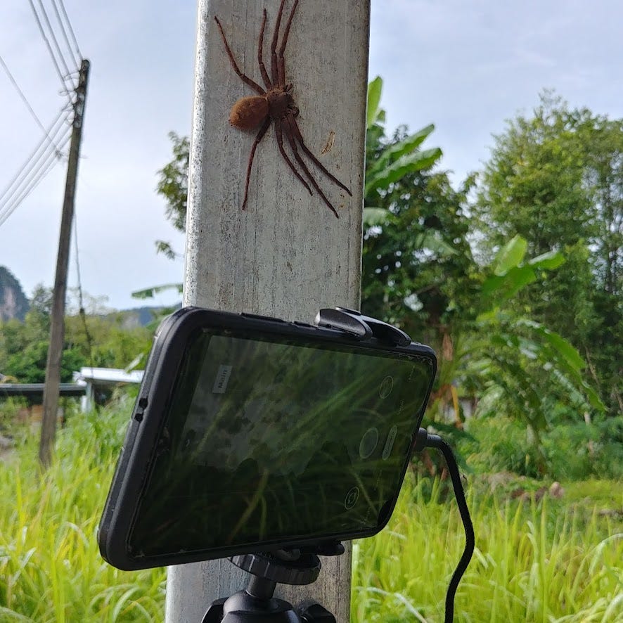 Time Lapse photography on Android – Medium