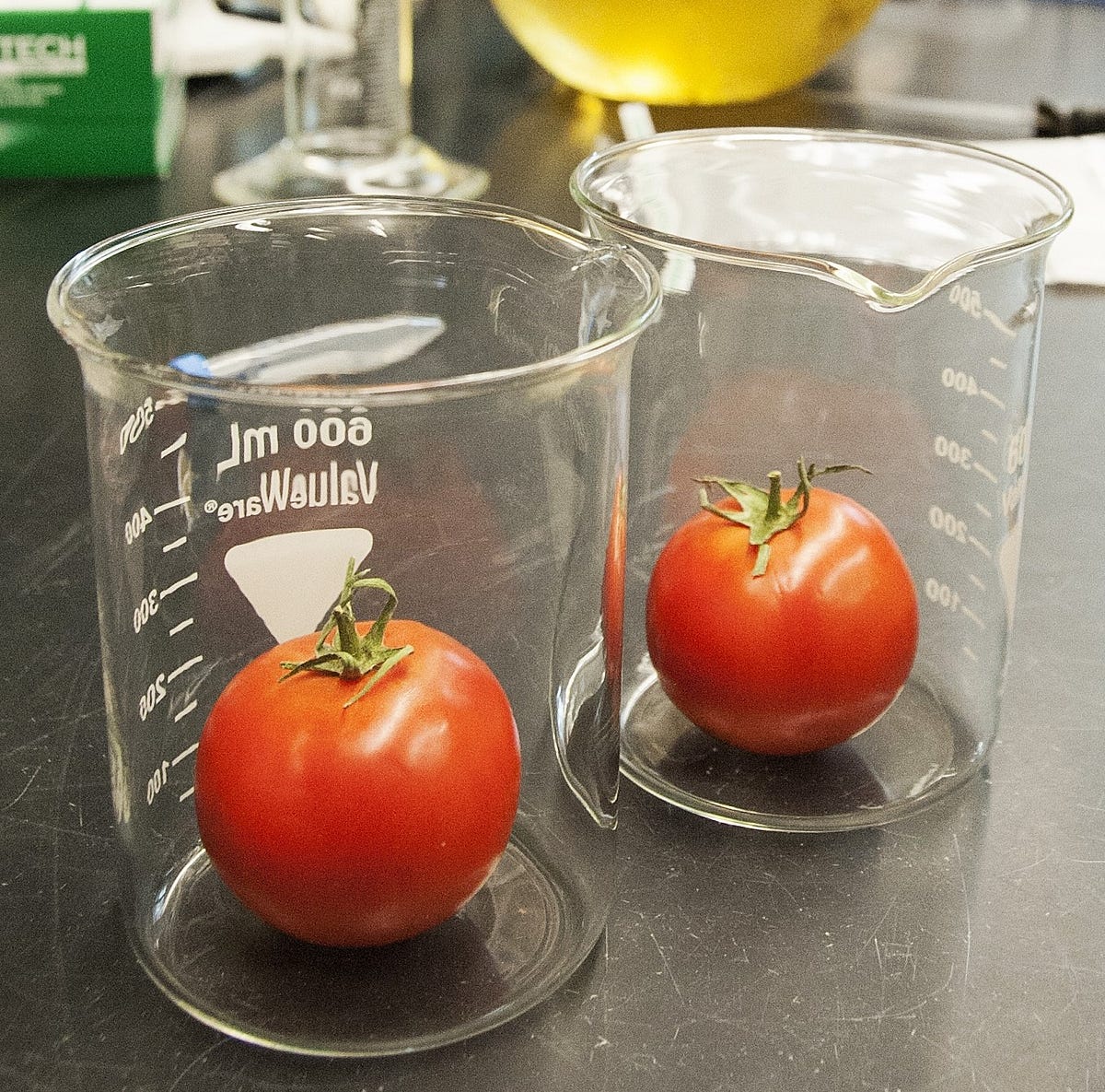 The science and enjoyment of food – Medium