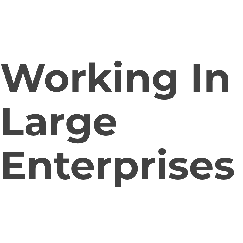 Working In Large Enterprises - Medium