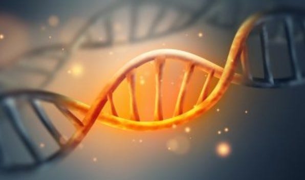“Immortality Drive”: A Time Capsule Carrying ‘Immortal DNA’ That’s ...