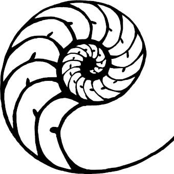 Axiom Data Science - Medium