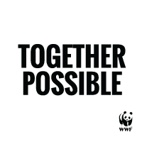 Together Possible - Medium