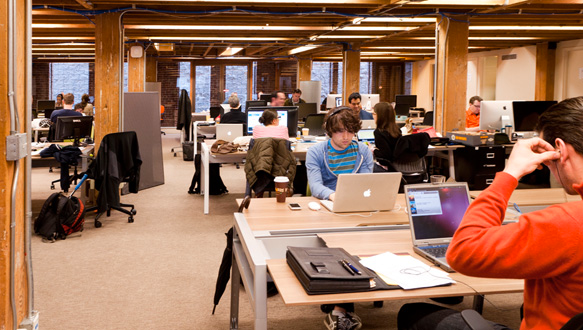 Small Biz Medium