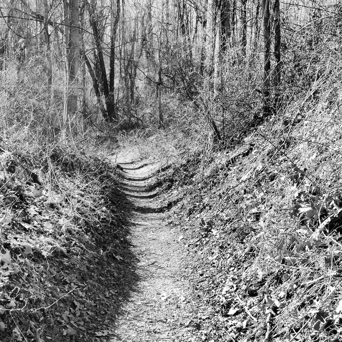 Running Up Dust - Medium