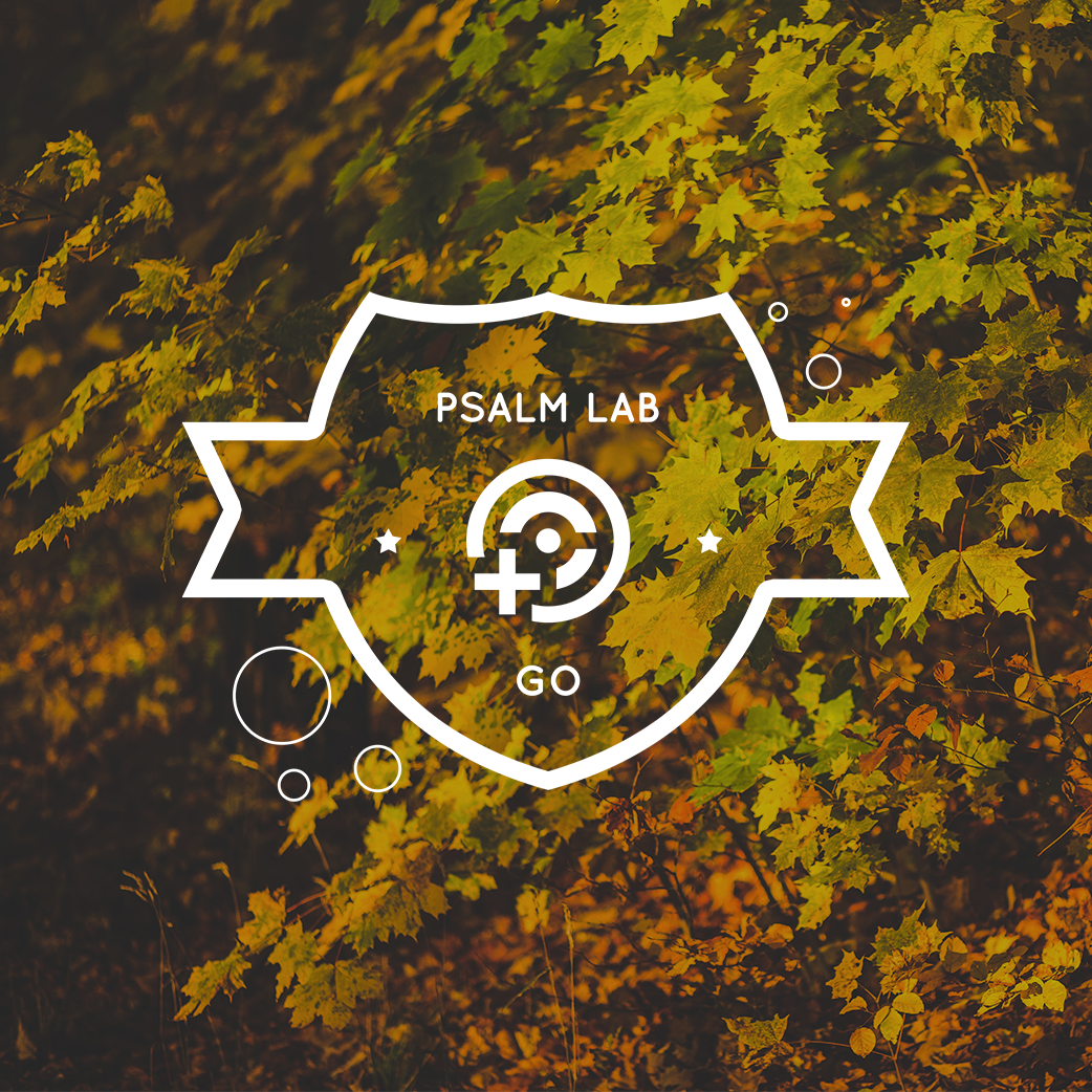 Psalm Lab | Blog - Medium