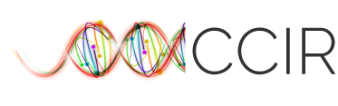 CCIR Magazine - Medium