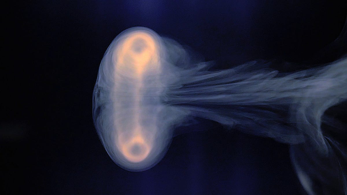 Kelvin’s Brilliant Vortex Atom – Houssem Kasbaoui – Medium