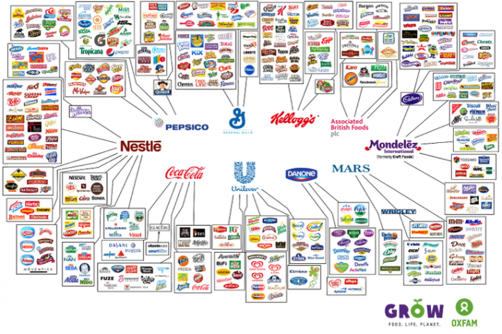 FAMOUS BRANDS – PATTERNS CATCHER – Medium