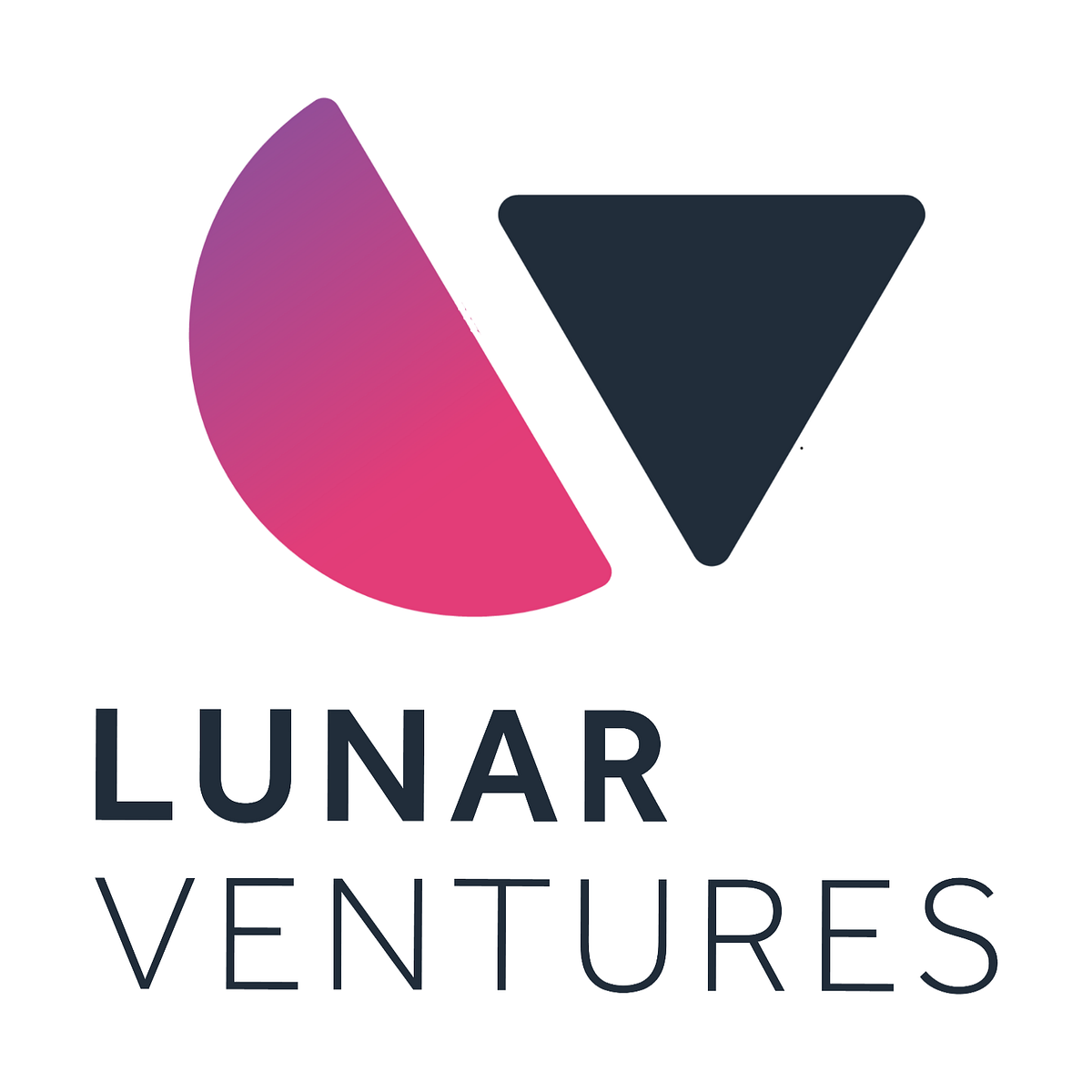 Lunar Ventures - Medium