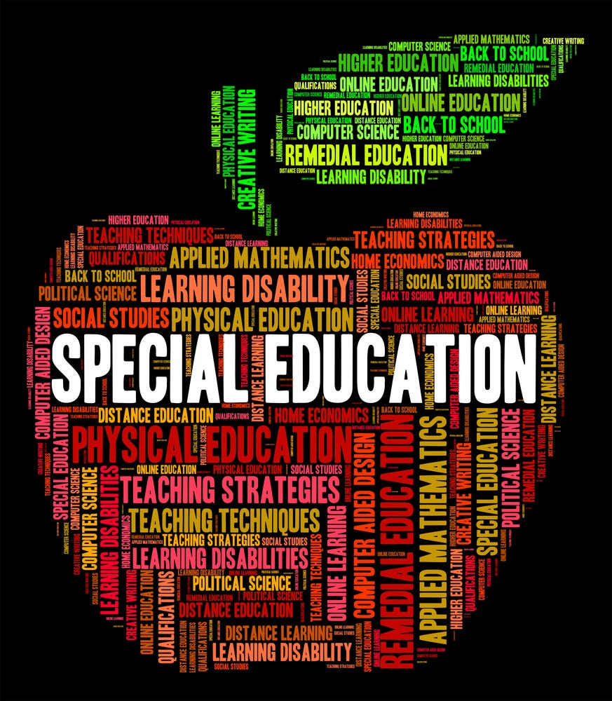 What is the largest disability category in special education?