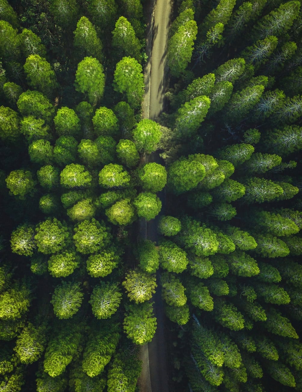 Green Asset Allocation - Medium