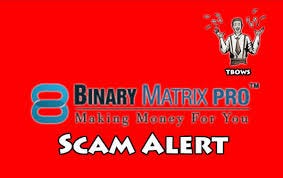 Binary Matrix Pro Review Scam - Medium
