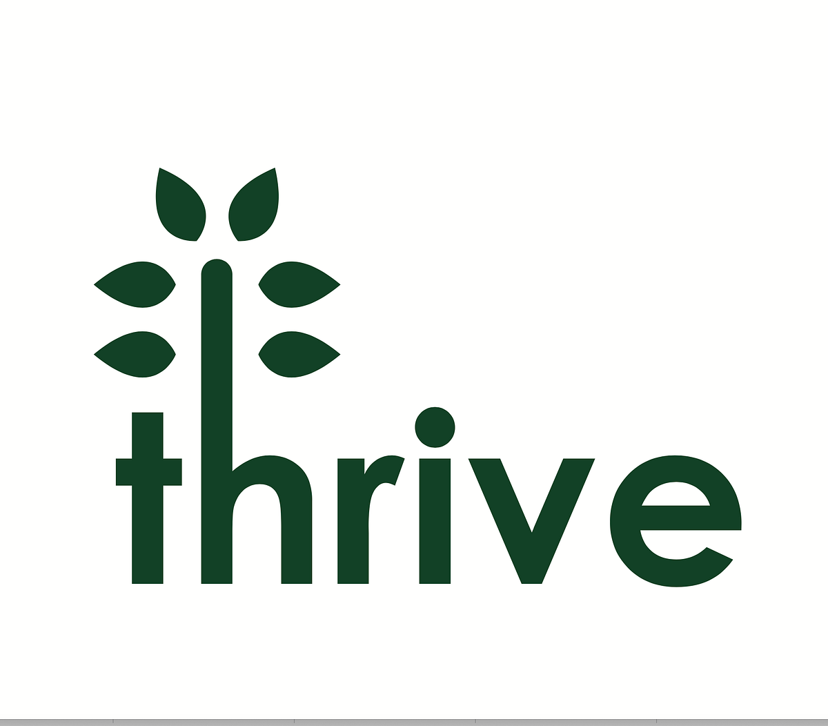 The THRIVE Project – Medium