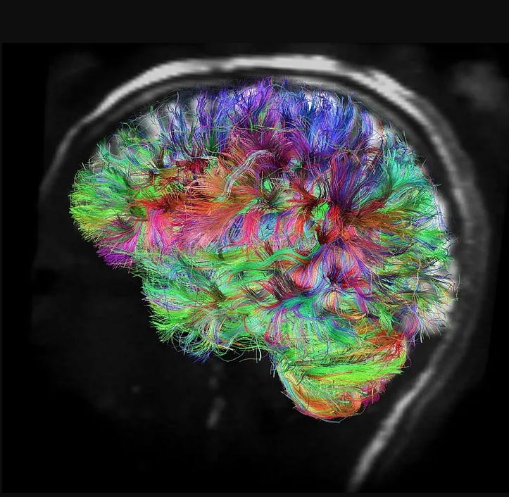 The Creative Mind - Medium