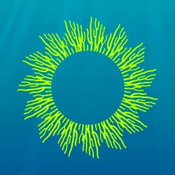 Community Spotlight - Medium