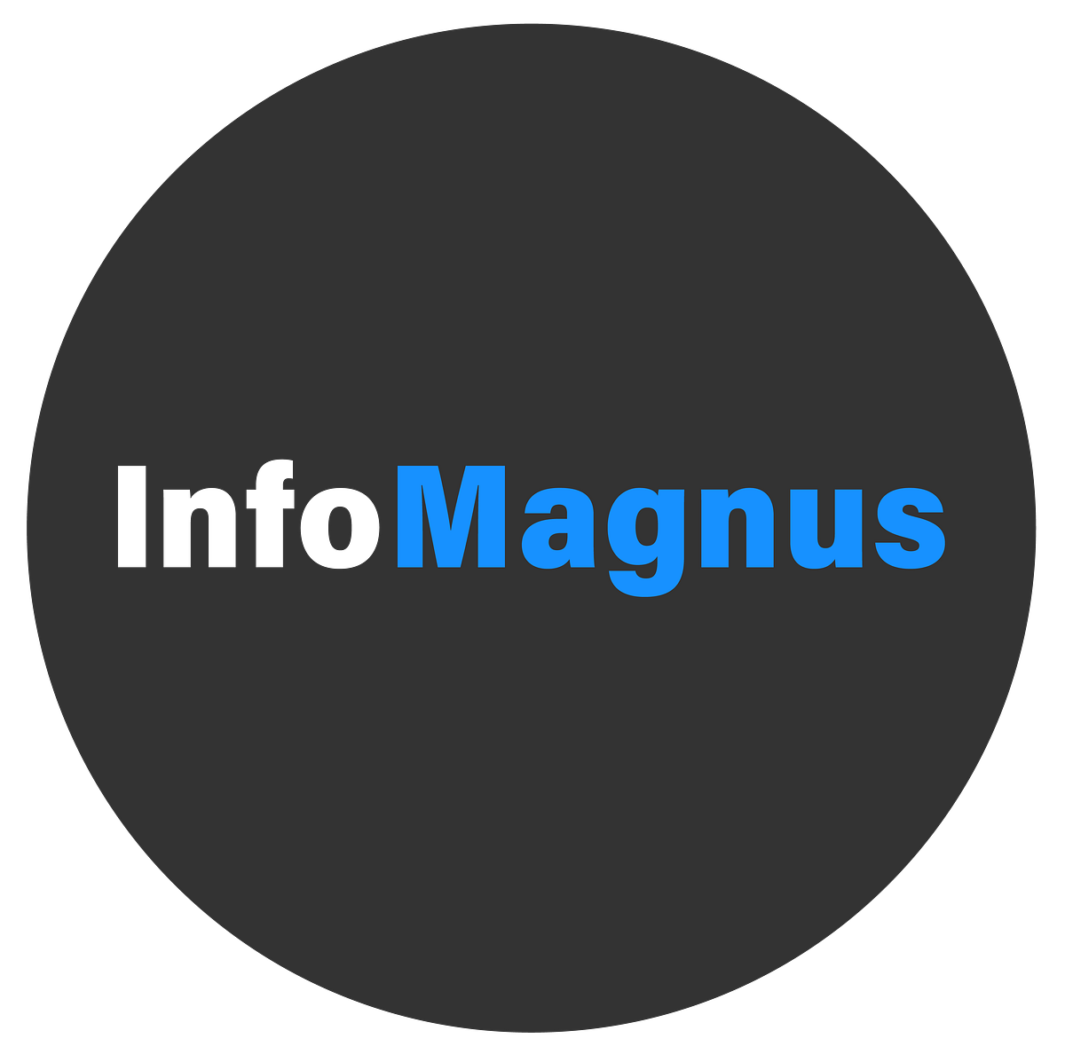 InfoMagnus Technology Solutions - Medium