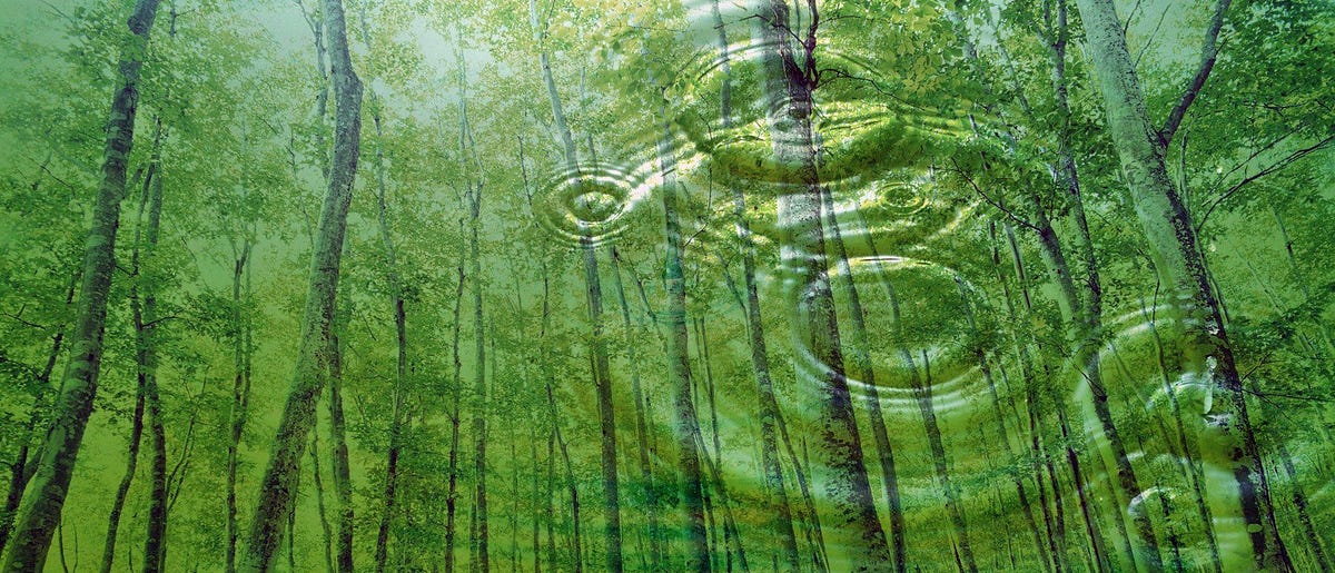 Just Nature — Просто для природы - Medium